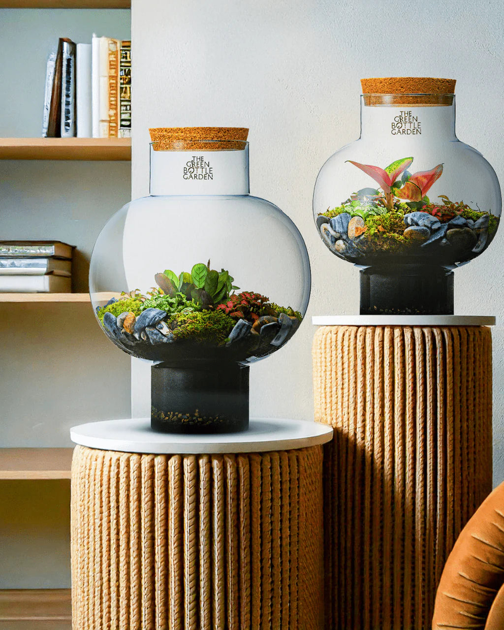 Open terrarium water geven – The Green Bottle Garden