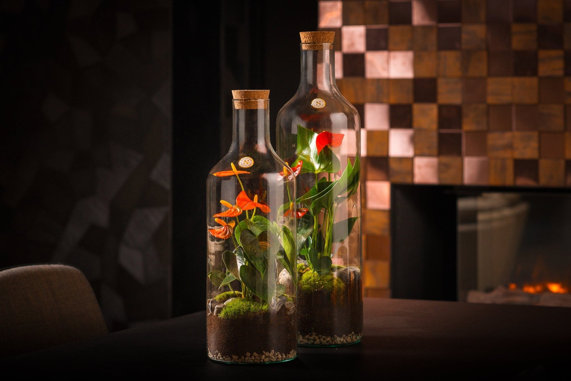 The Green Bottle Garden | Bring plant design into your home.